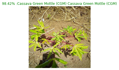 GitHub - AdiShirsath/Cassava-Leaf-Disease-Detection: API to Detect Leaf Disease