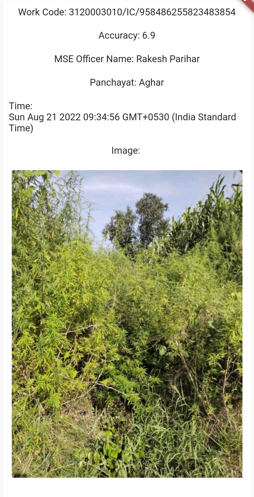 GitHub - SFarazH/Flutter-Search-Assets