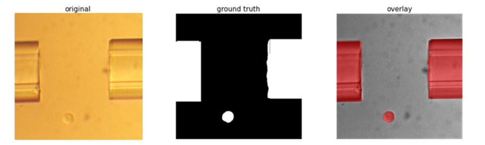 GitHub - brunasil98/CNN_Image_Segmentation