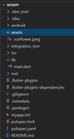 Assets and Packages In Flutter - divyanshkul/IECSE-AppDev-Spring-2022 ...