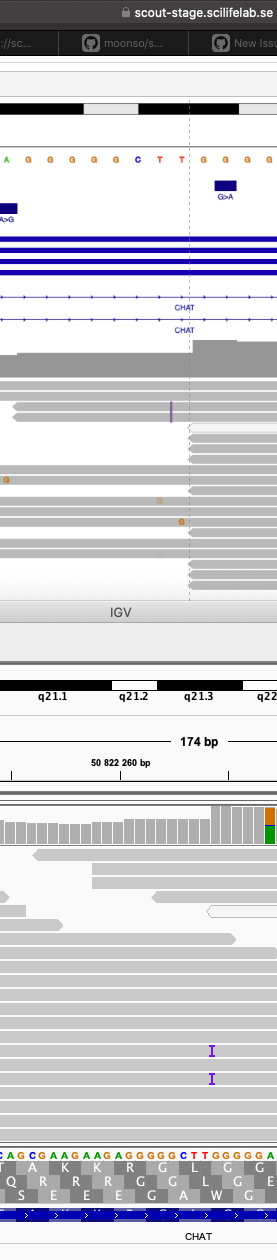 In read insertion marker obi-one? · Issue #1247 · igvteam/igv.js · GitHub