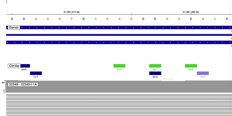 Not loading BAM files · Issue #3697 · Clinical-Genomics/scout · GitHub