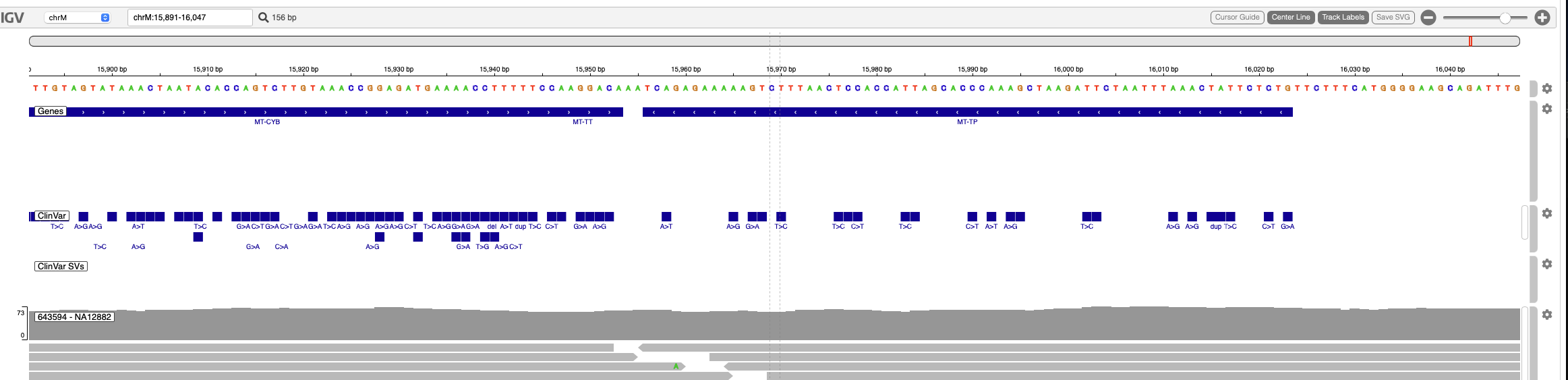 Color for bigbed track · Issue #1646 · igvteam/igv.js · GitHub