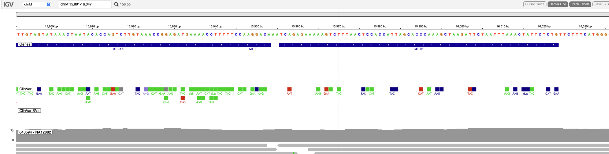 Color for bigbed track · Issue #1646 · igvteam/igv.js · GitHub