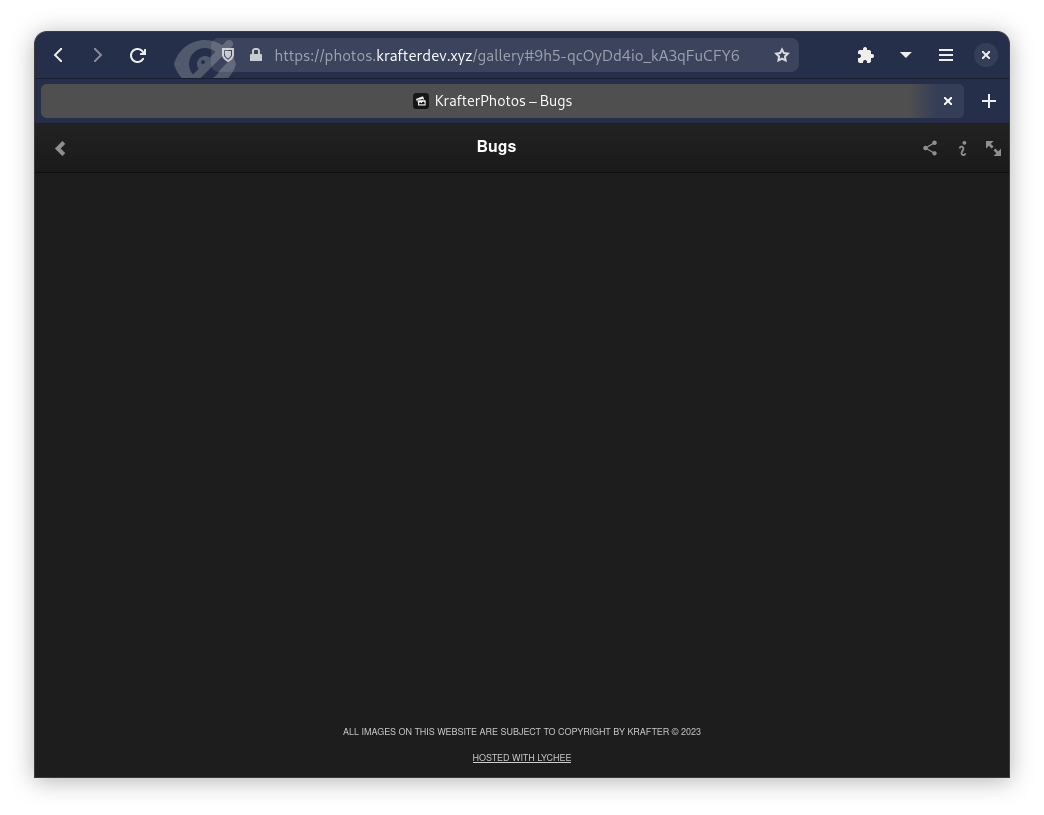 Cannot share Smart Albums · Issue #2053 · LycheeOrg/Lychee · GitHub