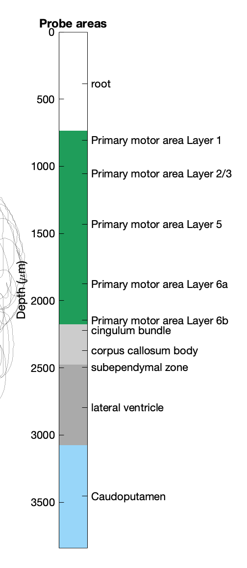 needles: option to output a figure of traversed brain locations per vector · Issue #3 · int ...