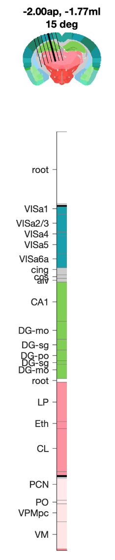 trajectory plot in needles needs to indicate start/end of recorded zone · Issue #7 · int-brain ...