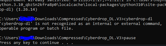 cyberdrop-dl · Issue #300 · Jules-WinnfieldX/CyberDropDownloader · GitHub
