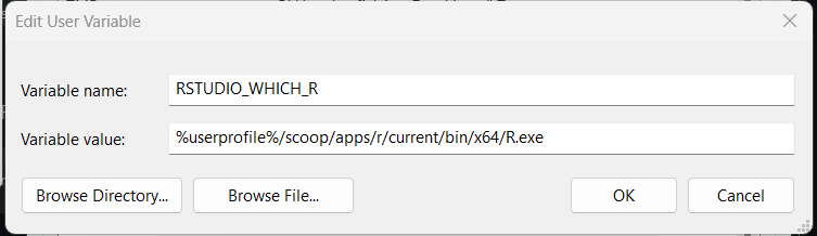 [Bug]: Rstudio can't find the R executable binary although R is installed. · Issue #10533 ...