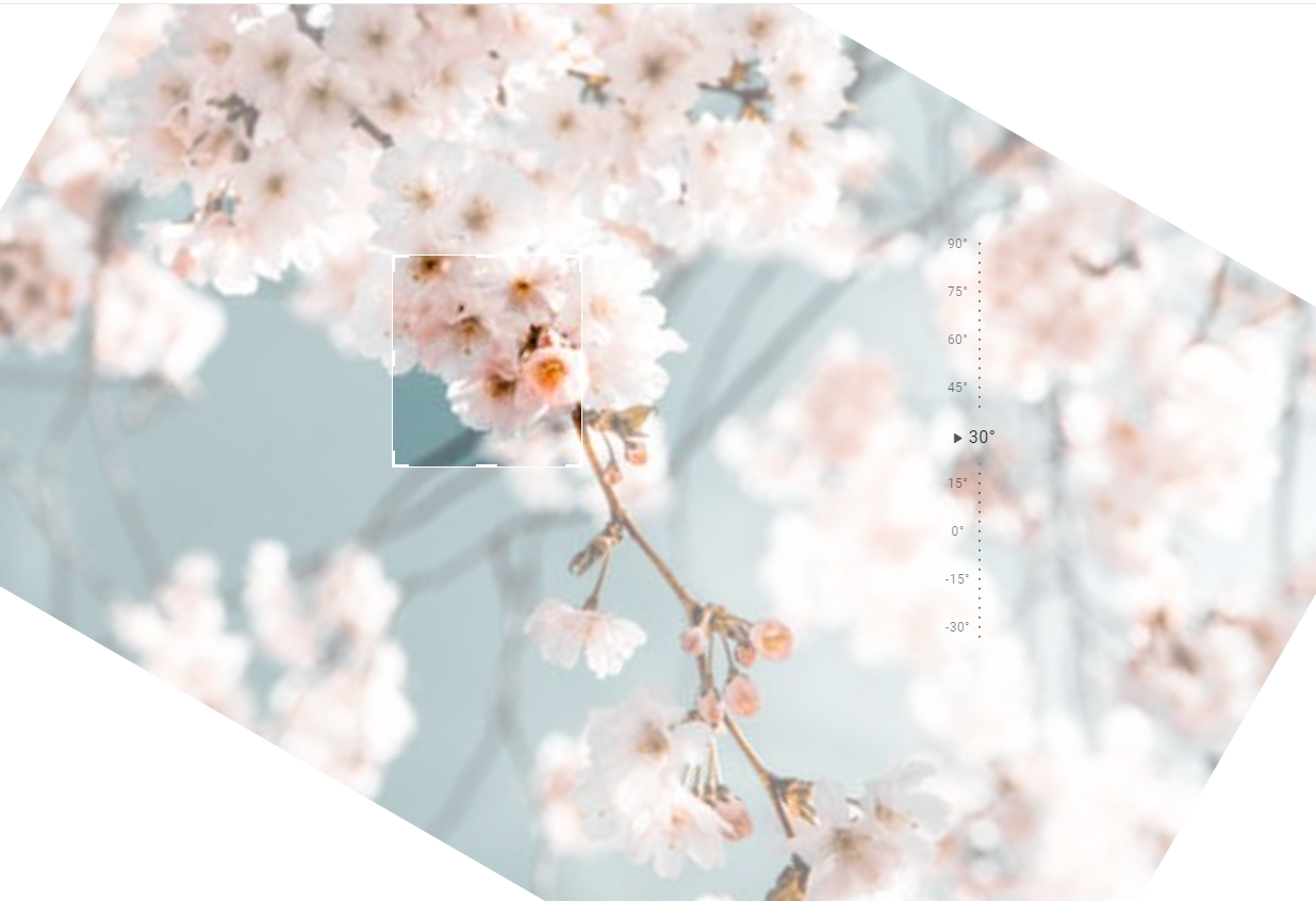 If apply same changes on one image on different resolution(devices) than position of cropbox is ...