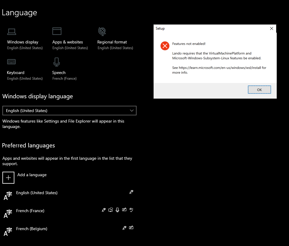 Windows Installer Feature Detection Fails When User Is Not En Us