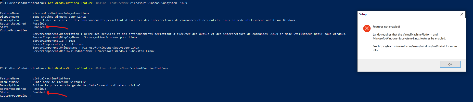 Windows installer feature detection fails when user is not en-US · Issue #3490 · lando/lando ...