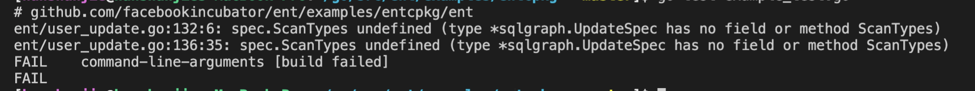 run `go test example_test.go ` in `/ent/examples/entcpkg` failed ...