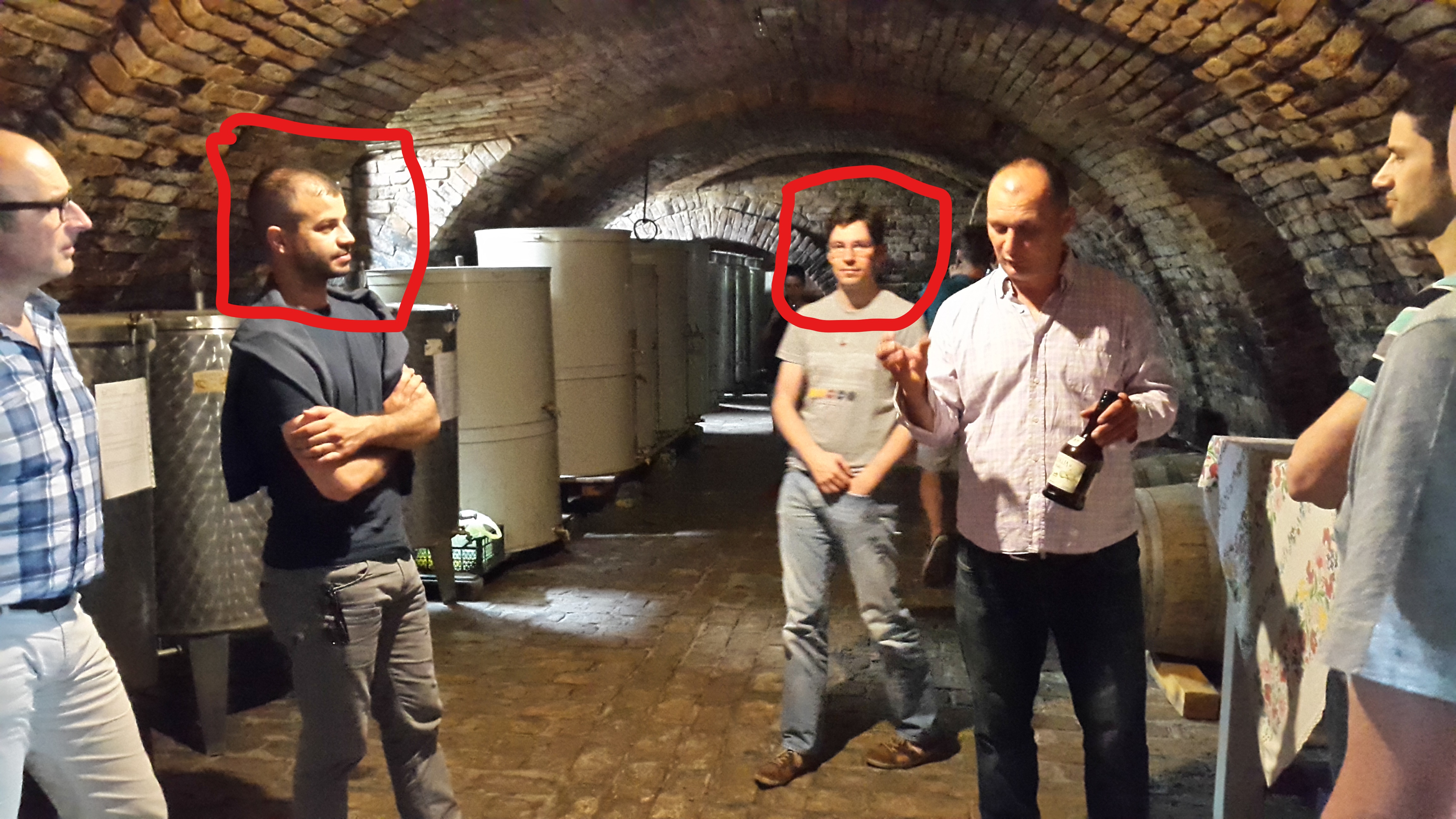 some faces not detected · Issue #267 · vladmandic/human · GitHub