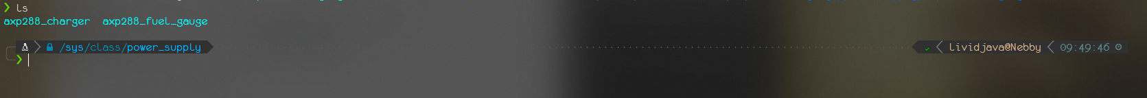 Battery Segment not displaying · Issue #1873 · romkatv/powerlevel10k · GitHub