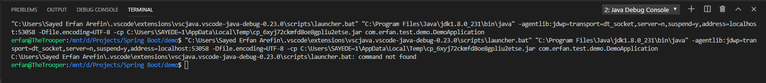 Failed To Launch Debuggee In Terminal Reason Nnect Transporttimeoutexception