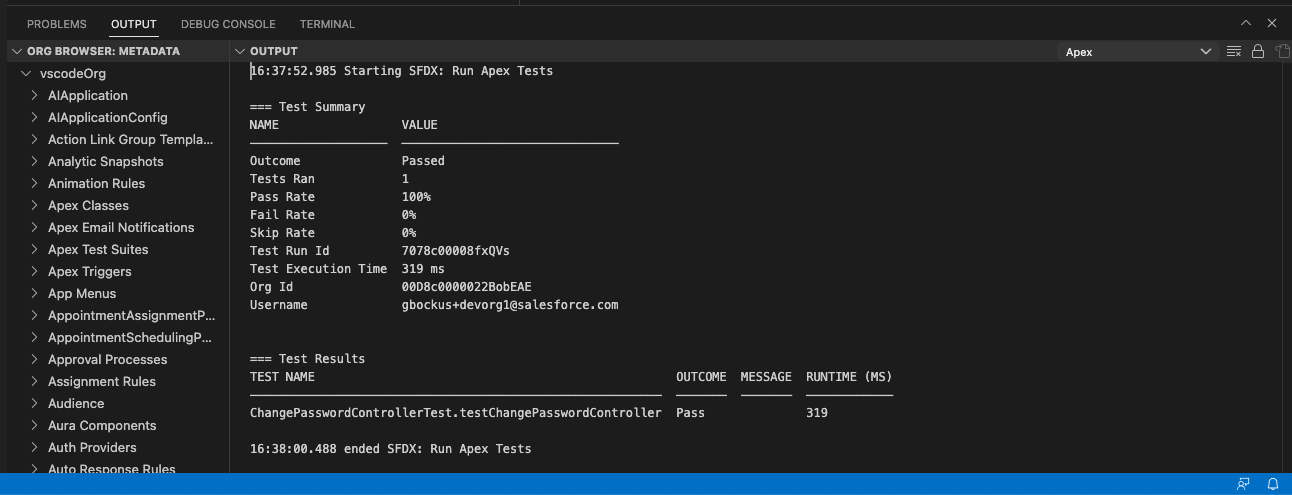Missing Org Browser Icon on Side Bar · Issue #4654 · forcedotcom/salesforcedx-vscode · GitHub