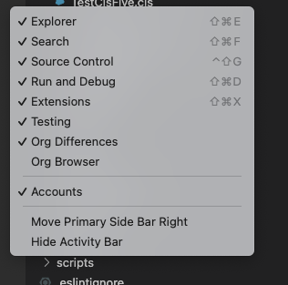 Missing Org Browser Icon on Side Bar · Issue #4654 · forcedotcom/salesforcedx-vscode · GitHub