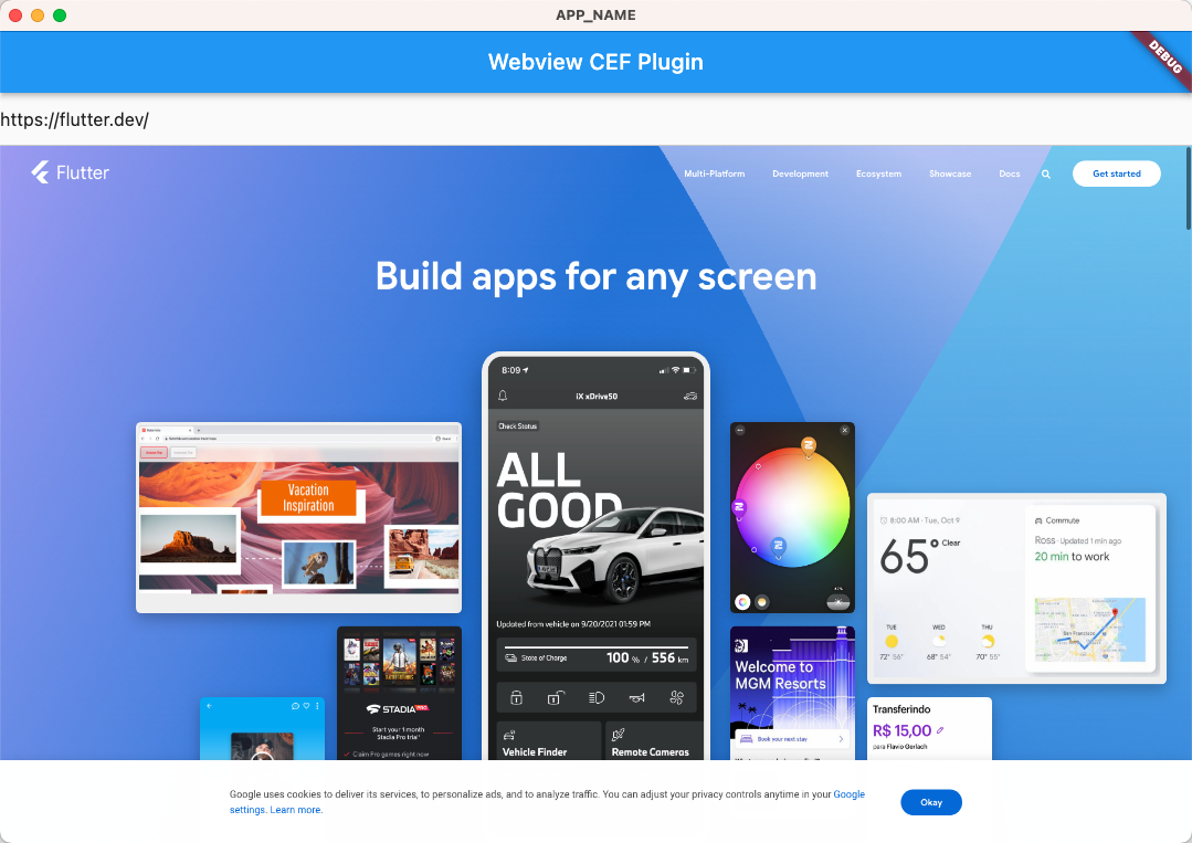 Status of macOS support · Issue #10 · hlwhl/webview_cef · GitHub