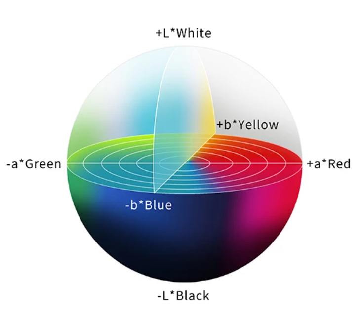 GitHub - RishabhDubey03/Image-Colorization