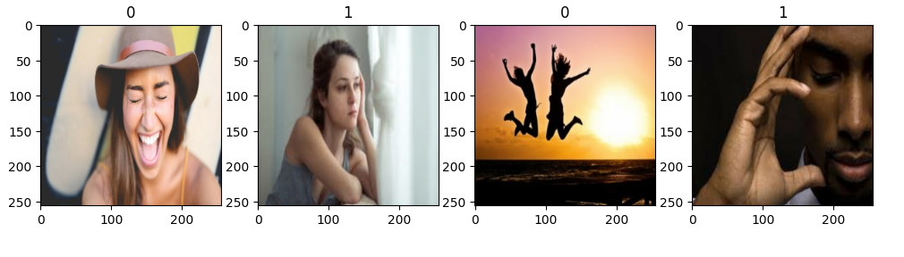 GitHub - joebaga/MN-Face-expression-recognition-: it consists of facial expression recognition ...