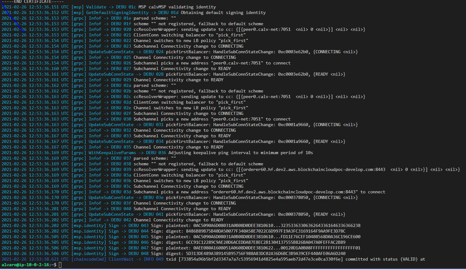 BAF with fabric can not approve chaincode: Error: failed to retrieve ...