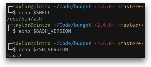 Bashversion Environment Variable Is Set When Not Using Bash Shell In Integrated Terminal