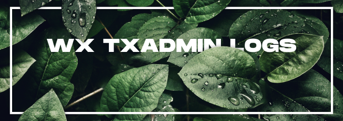 GitHub - nwvh/wx_txadminlogs: [NOT MY IDEA] Simple TX Admin logging ...