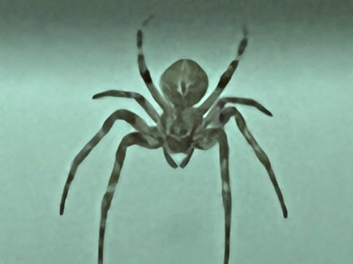 GitHub - baturayozgurun/Computer_Vision_Project_RGB_to_HSV_Color_Conversion_Algorithm_with_OpenCV