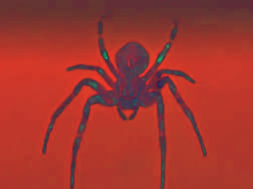 GitHub - baturayozgurun/Computer_Vision_Project_RGB_to_HSV_Color_Conversion_Algorithm_with_OpenCV