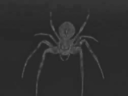 GitHub - baturayozgurun/Computer_Vision_Project_RGB_to_HSV_Color ...