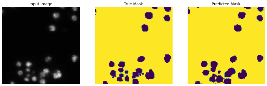 GitHub - lordpacino/Cell-Neuclei-Detection-using-Semantic-Segmentation ...