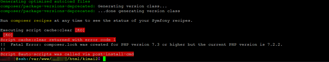 Upgrading from 1.15.2 to 1.15.3 gives error "Fatal Error: composer.lock was created for PHP ...