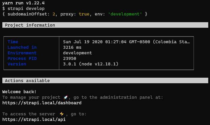 Koa app.proxy not set when using sub-folder-split config · Issue #7061 · strapi/strapi · GitHub