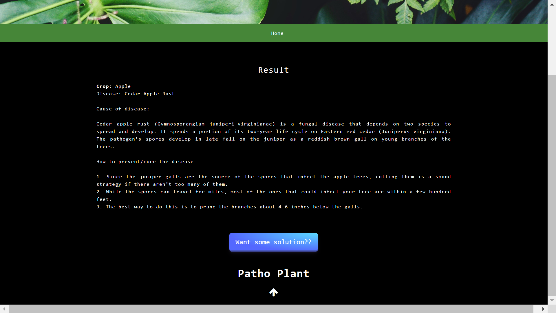 GitHub - vinishhub/Patho_Plant: Identification of the plant diseases is the key to prohibiting ...