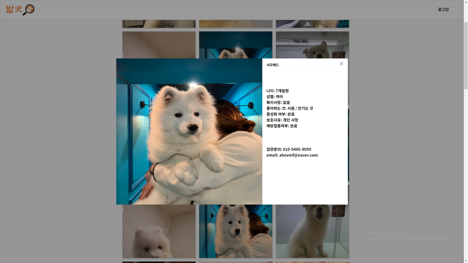 GitHub - rlagudals95/mini_project_update: 미니프로젝트 "발견" 최종 완성본 입니다!