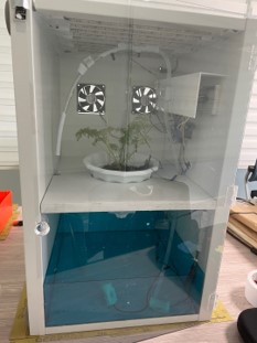 GitHub - rgl-za/Capstone2-2021: 우리집 앞마당 🥬 모니터링 기능이 탑재된 개인 맞춤형 IoT 스마트팜