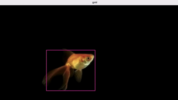 GitHub - i-anubhav-anand/Object_detection-fish-_and_path_prdeiction