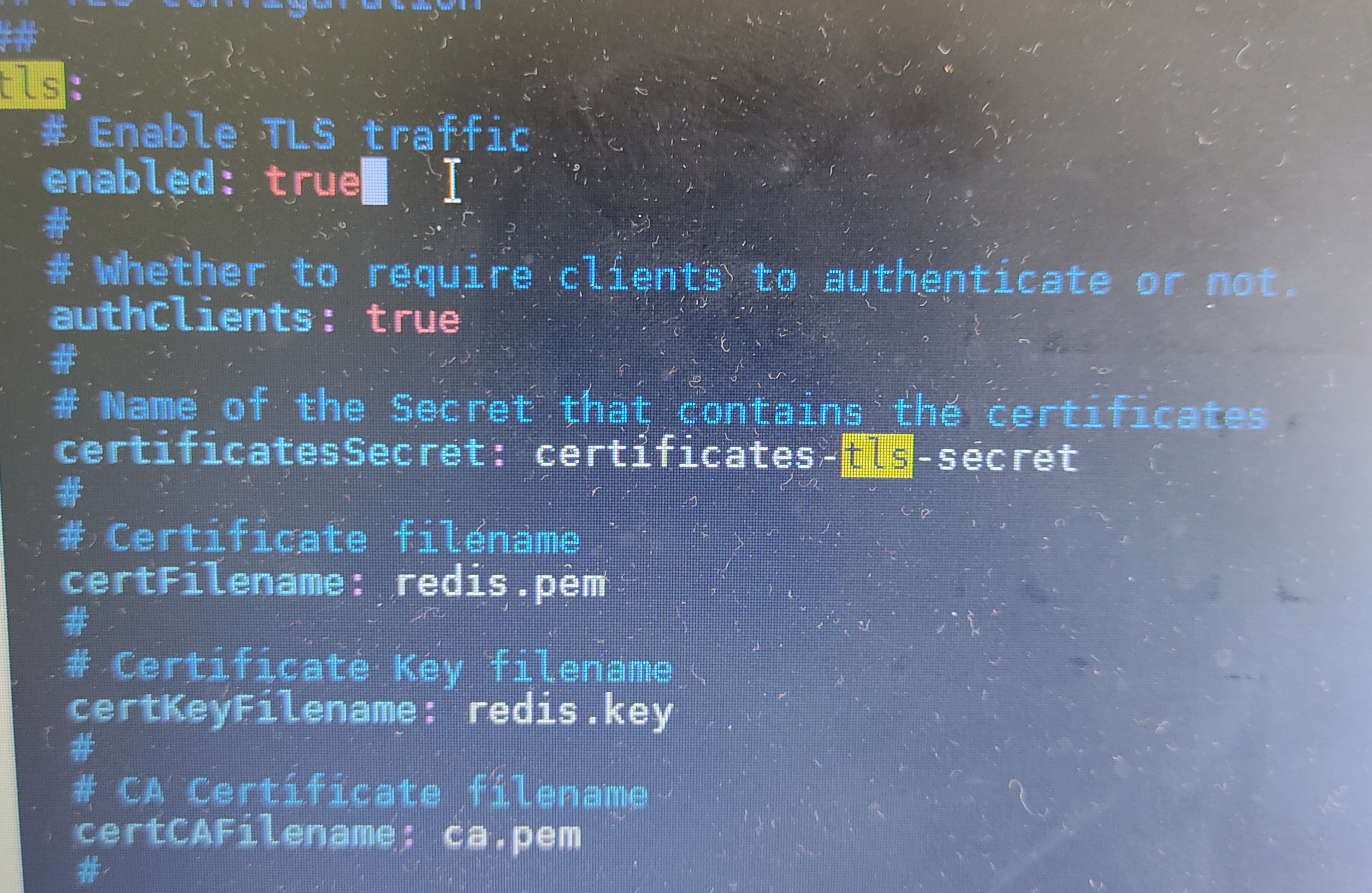 [bitnami/redis-cluster]Permission denied error for tls enabled redis-cluster deployment using ...