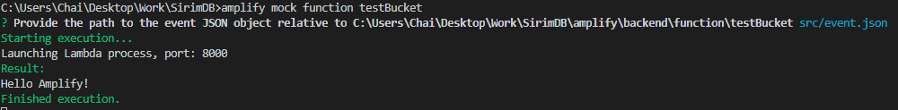Go Function Print Doesnt Appear In Console When Performing Amplify Mock Function · Issue 5869