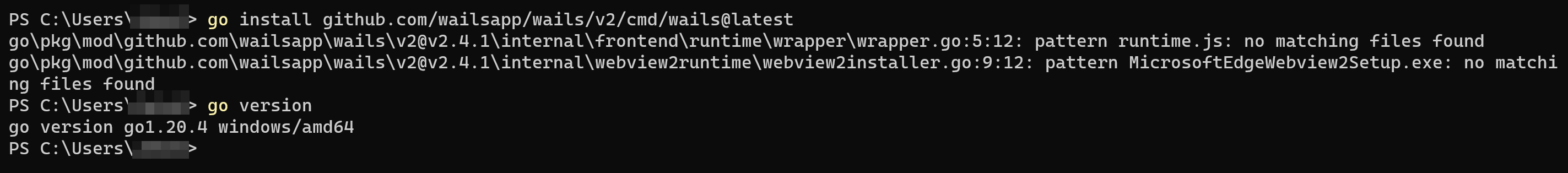 Install Errors · Issue 2649 · Wailsapp Wails · Github