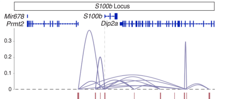 problem · Issue #5 · single-cell-BGI/scCAT · GitHub