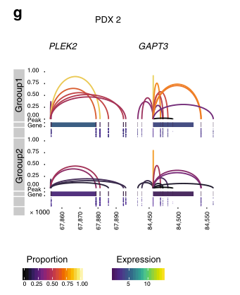 establish of regulatory relationships between CREs and genes in single cells · Issue #6 · single ...