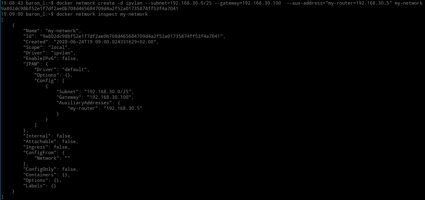 macvlan ipv4 exclusion not working in 1.24 · Issue #3918 · portainer ...