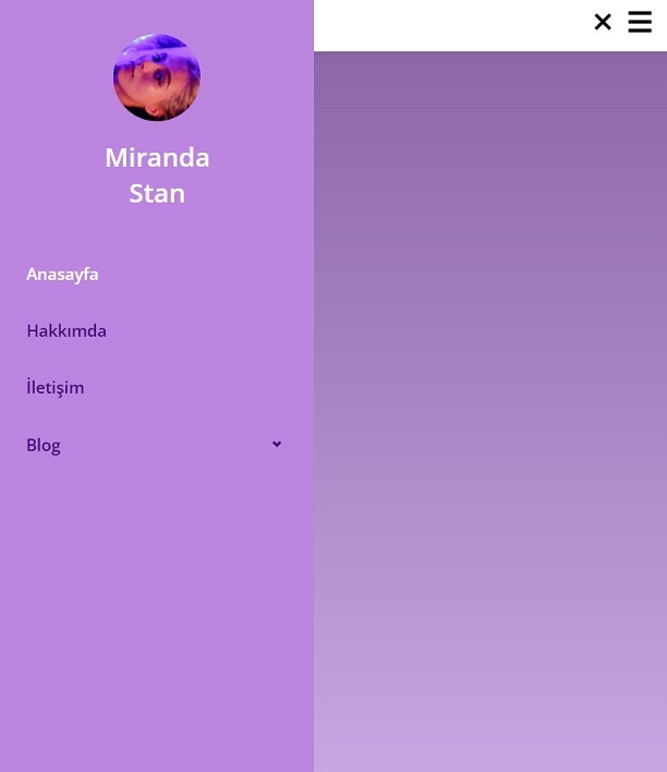 GitHub - melisacortuk/menu-bar: Responsive Dropdown Menu Bar