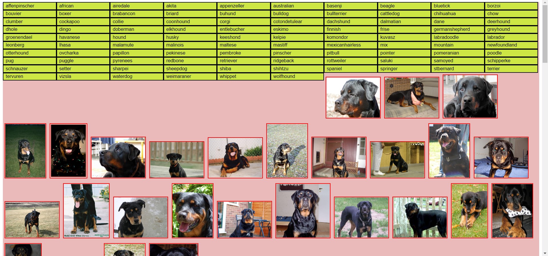 GitHub - enqinsel/Vue-Api-Challenge: I used the Dog Api at this project ... GitHub - enqinsel/Vue-Api-Challenge: I used the Dog Api at this project ...