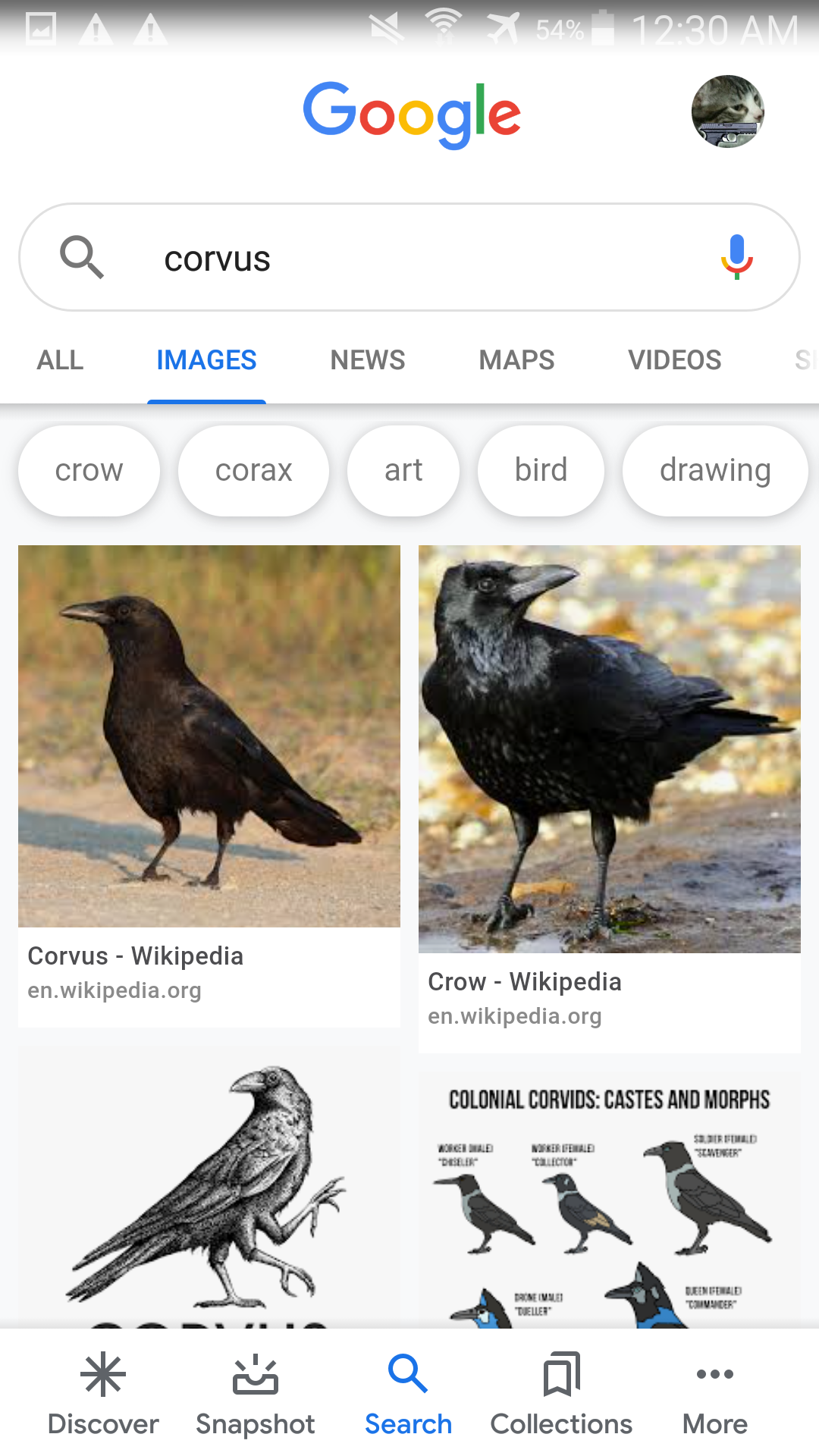 Rename corvus unit · Issue #1374 · Anuken/Mindustry-Suggestions · GitHub