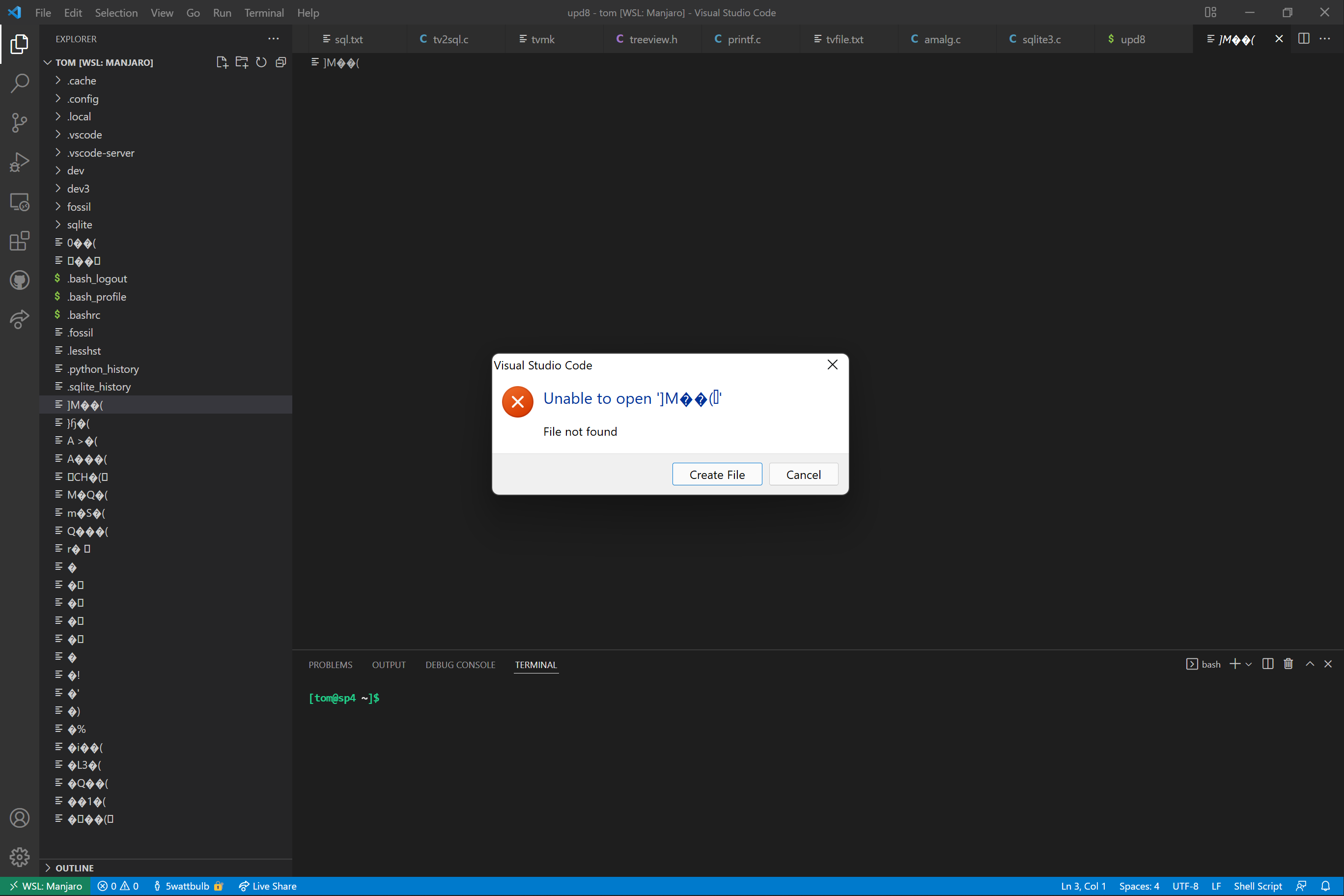 Non-existent files suddenly appeared in Explorer · Issue #145676 · microsoft/vscode · GitHub