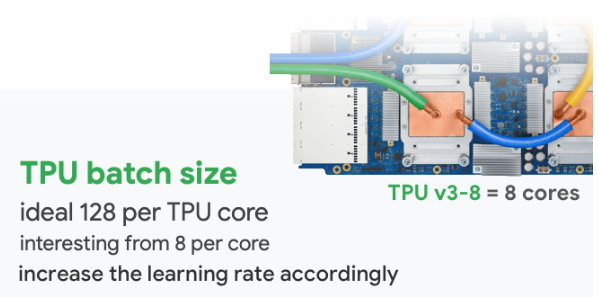 GitHub - shivani-singhal0410/Flower-Classification-on-TPU: We're classifying 104 types of ...