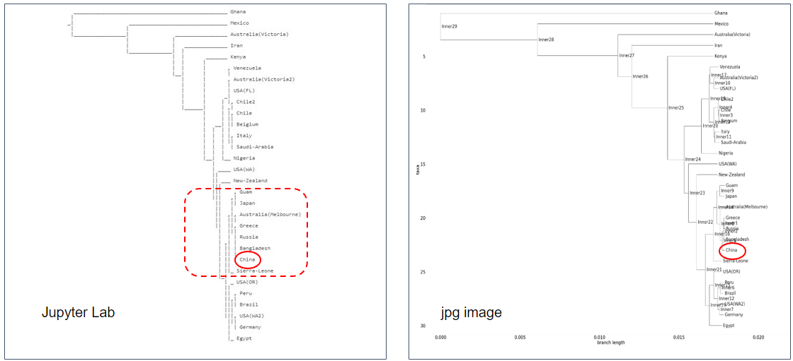 GitHub - Baegarden/StudyProject-8: 🧬 Bioinformatics를 통한 COVID-19 염기서열 데이터 분석 및 응용